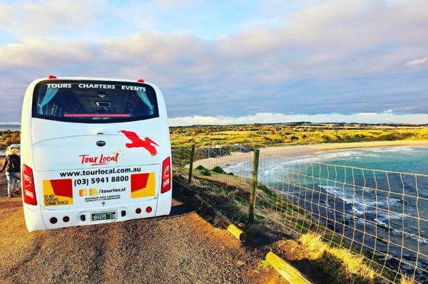 Phillip Island's New Bus Tour Experience | Tour Local