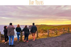 Melbourne Bus Tours - Tour Local
